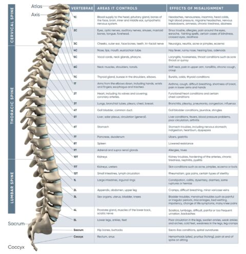 Chiropractic Care | Bridge City Health