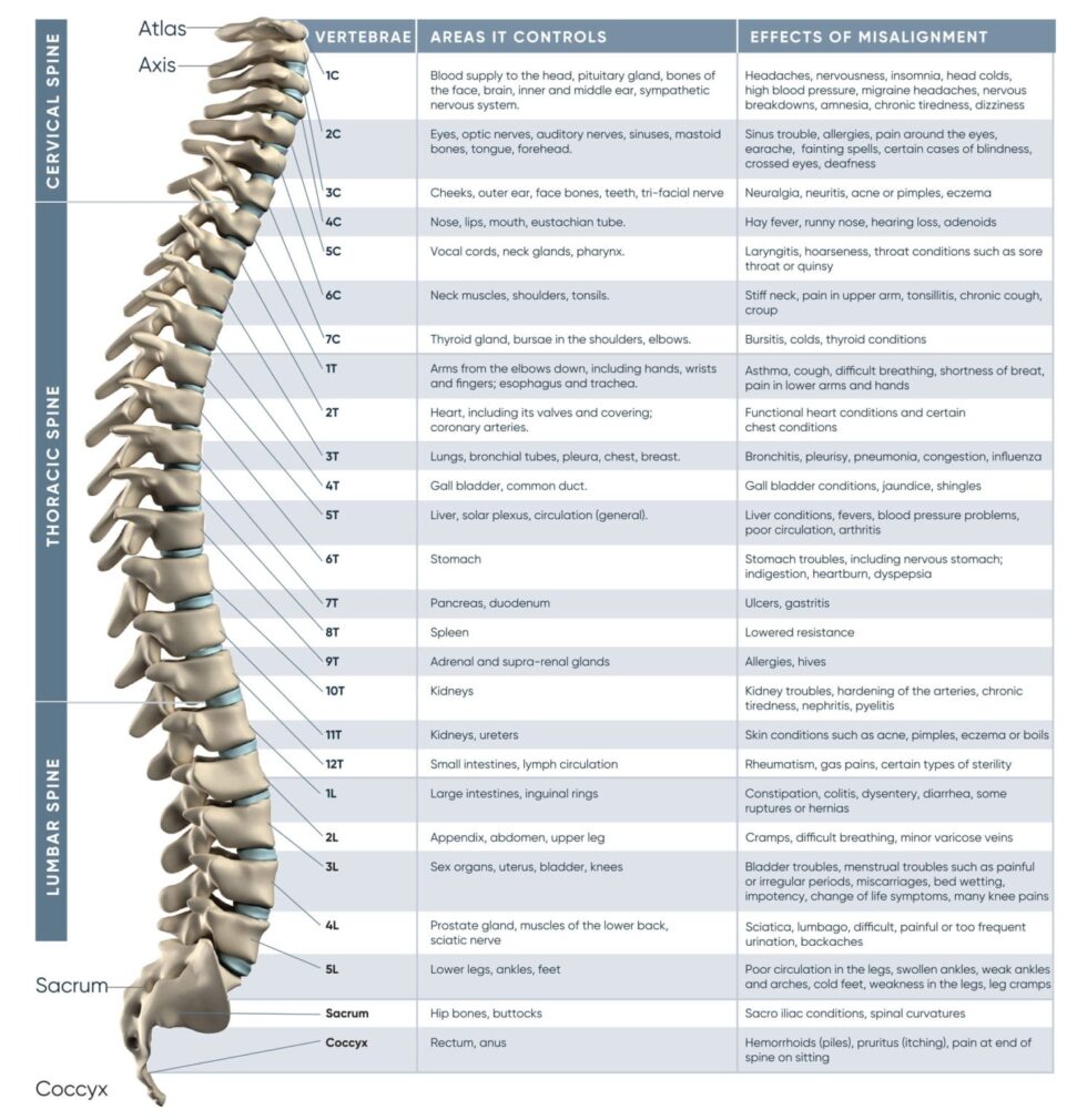 Chiropractic Care | Bridge City Health
